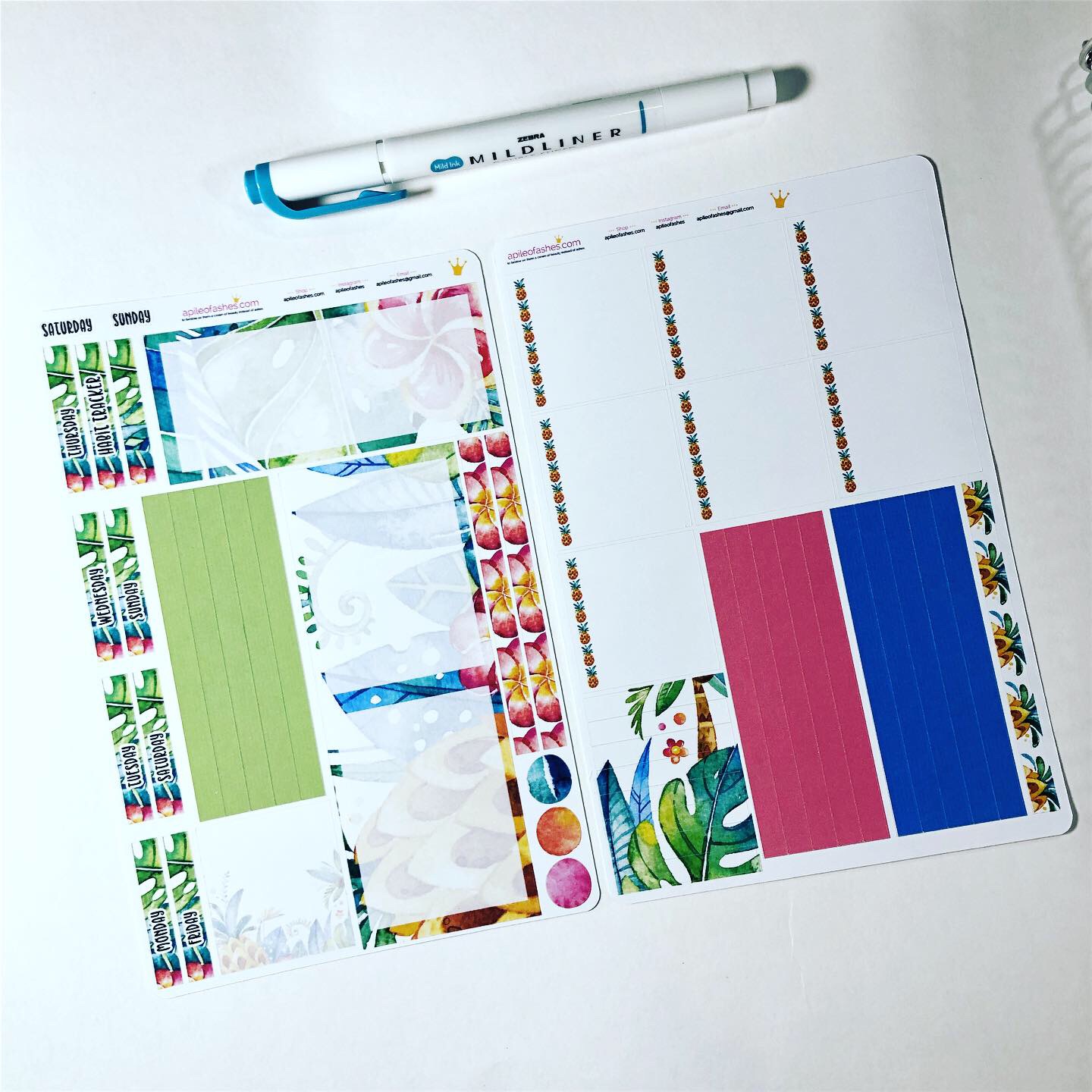 A5 Plum Paper Student Planner | Planner Girl * apileofAshes