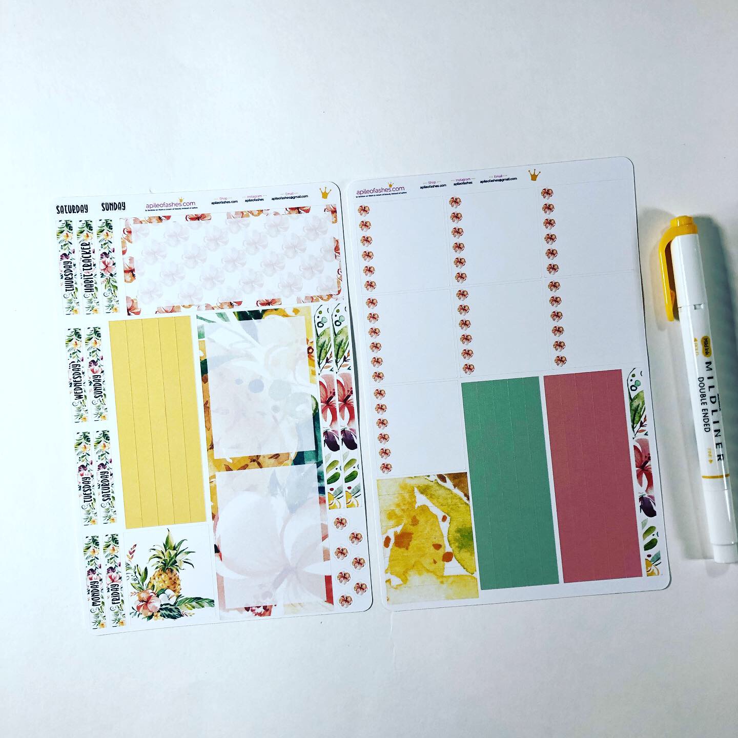 A5 Plum Paper Student Planner | Planner Girl * apileofAshes